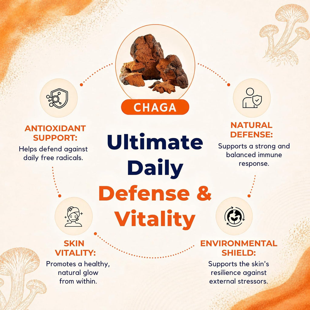 Chaga extract for immune support
