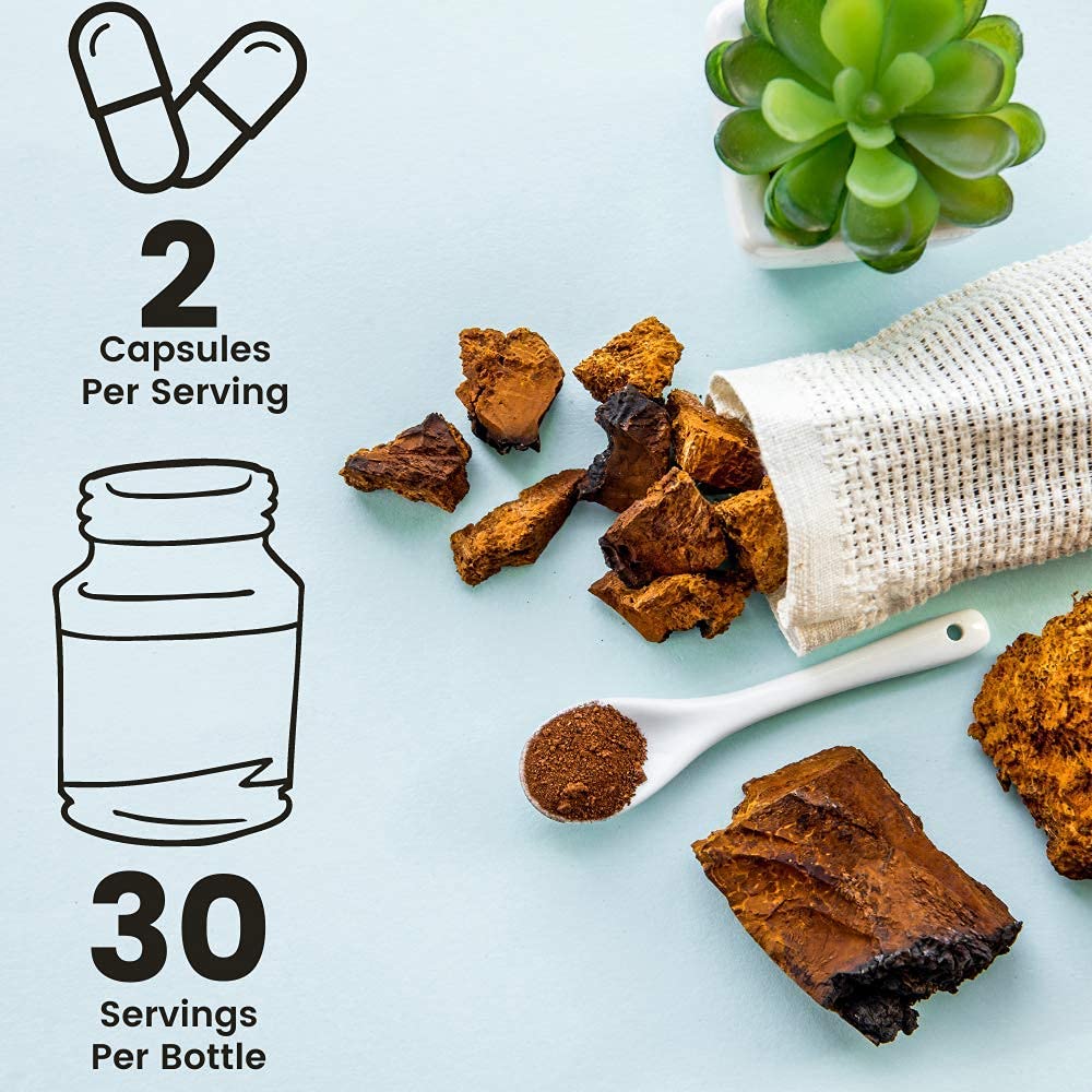 chaga extract for natural vitality