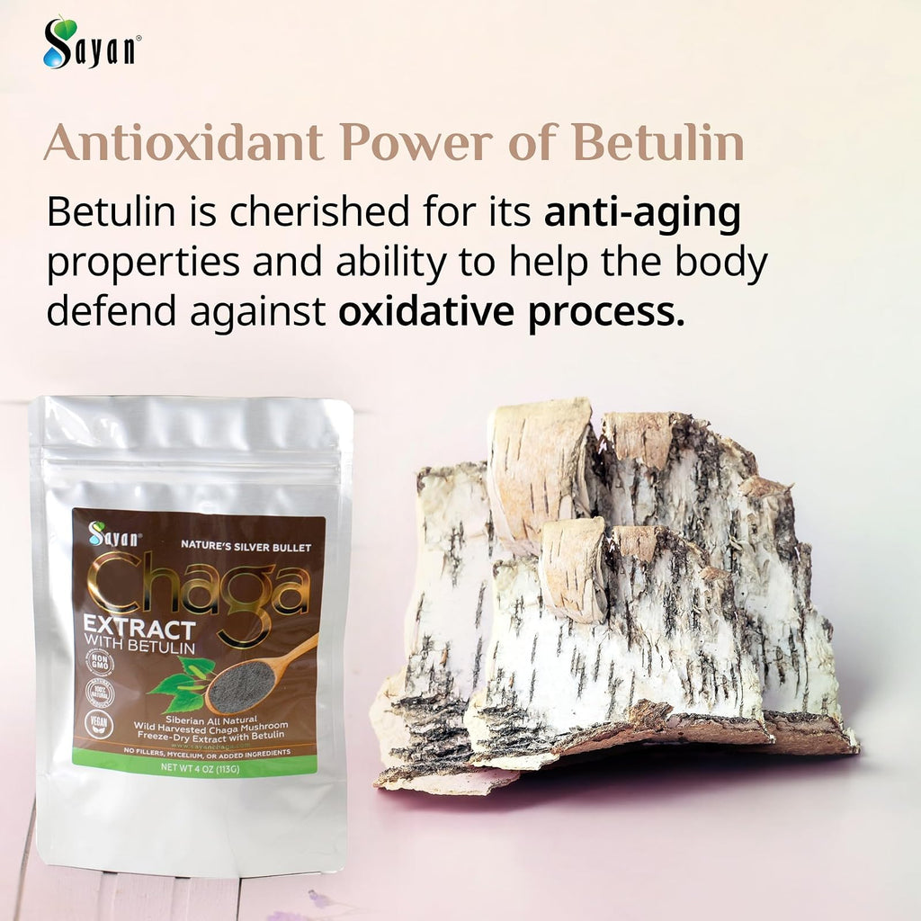 chaga extract for wellness boost