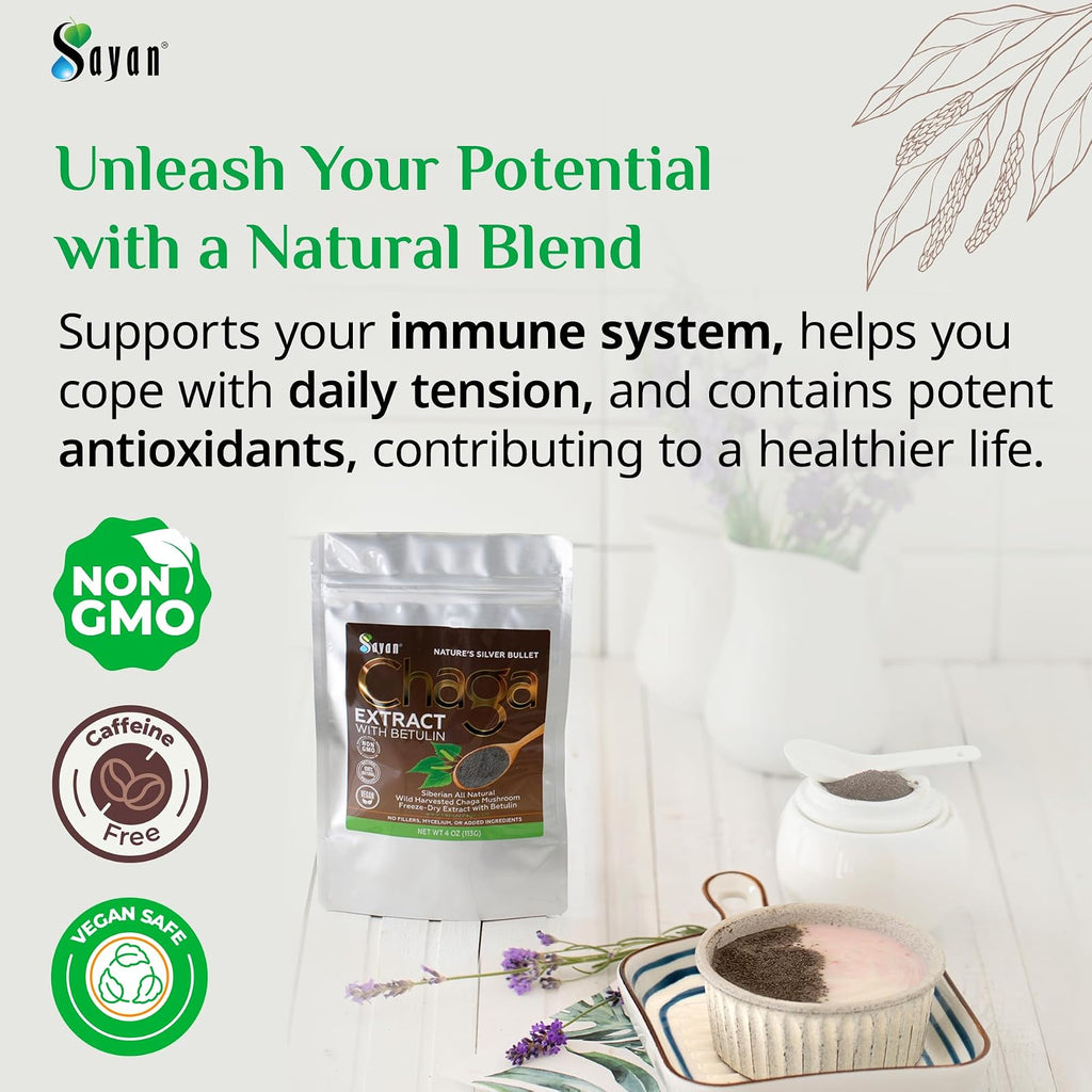 chaga extract with betulin powder