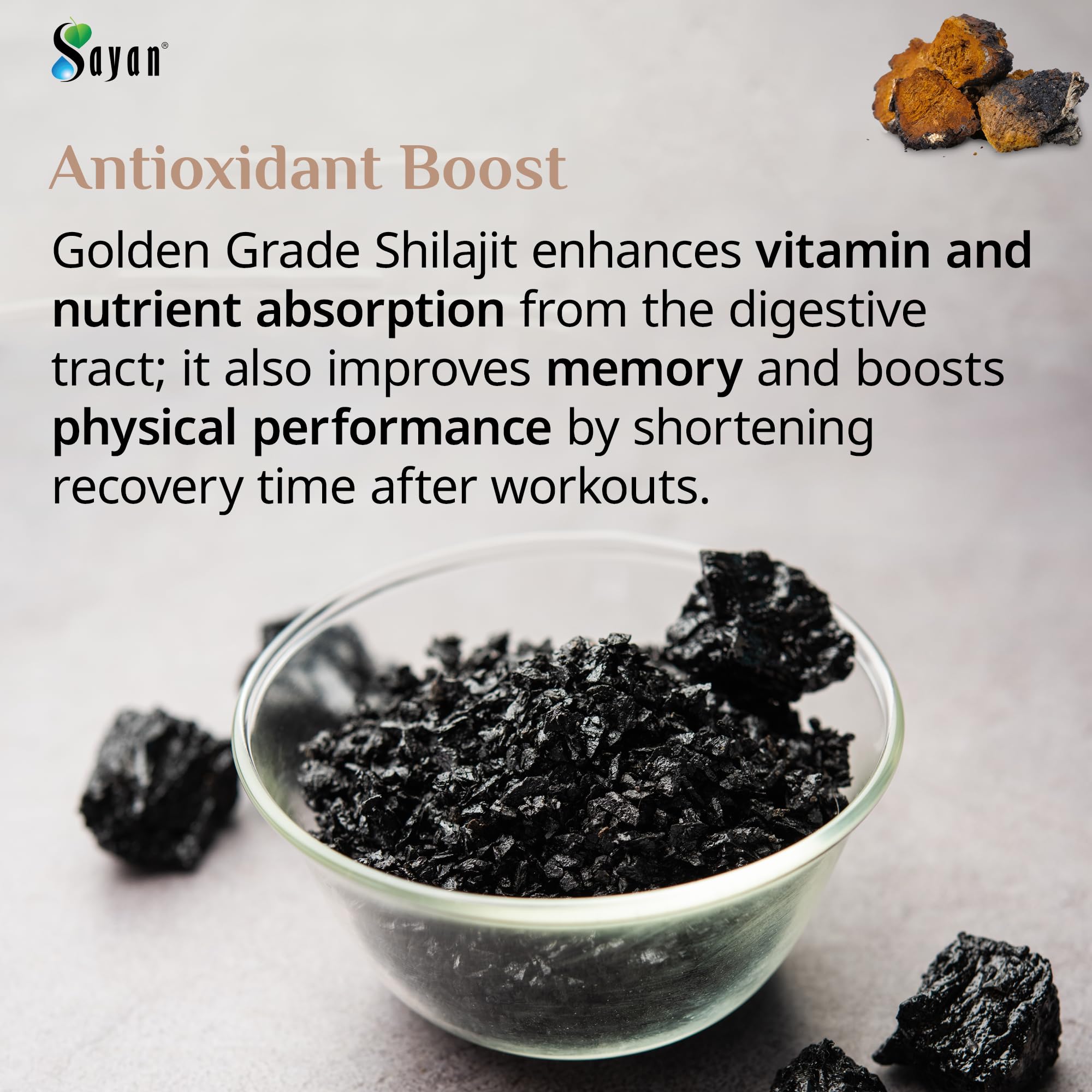 Chaga extract with Shilajit powder
