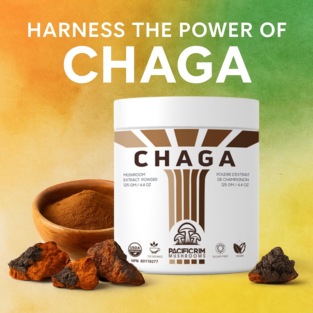 chaga for improved digestion