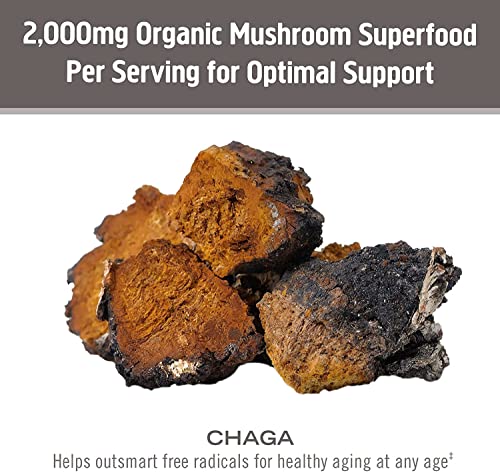 chaga for stress relief