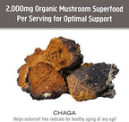 chaga for stress relief