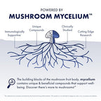 chaga mushroom antioxidant properties