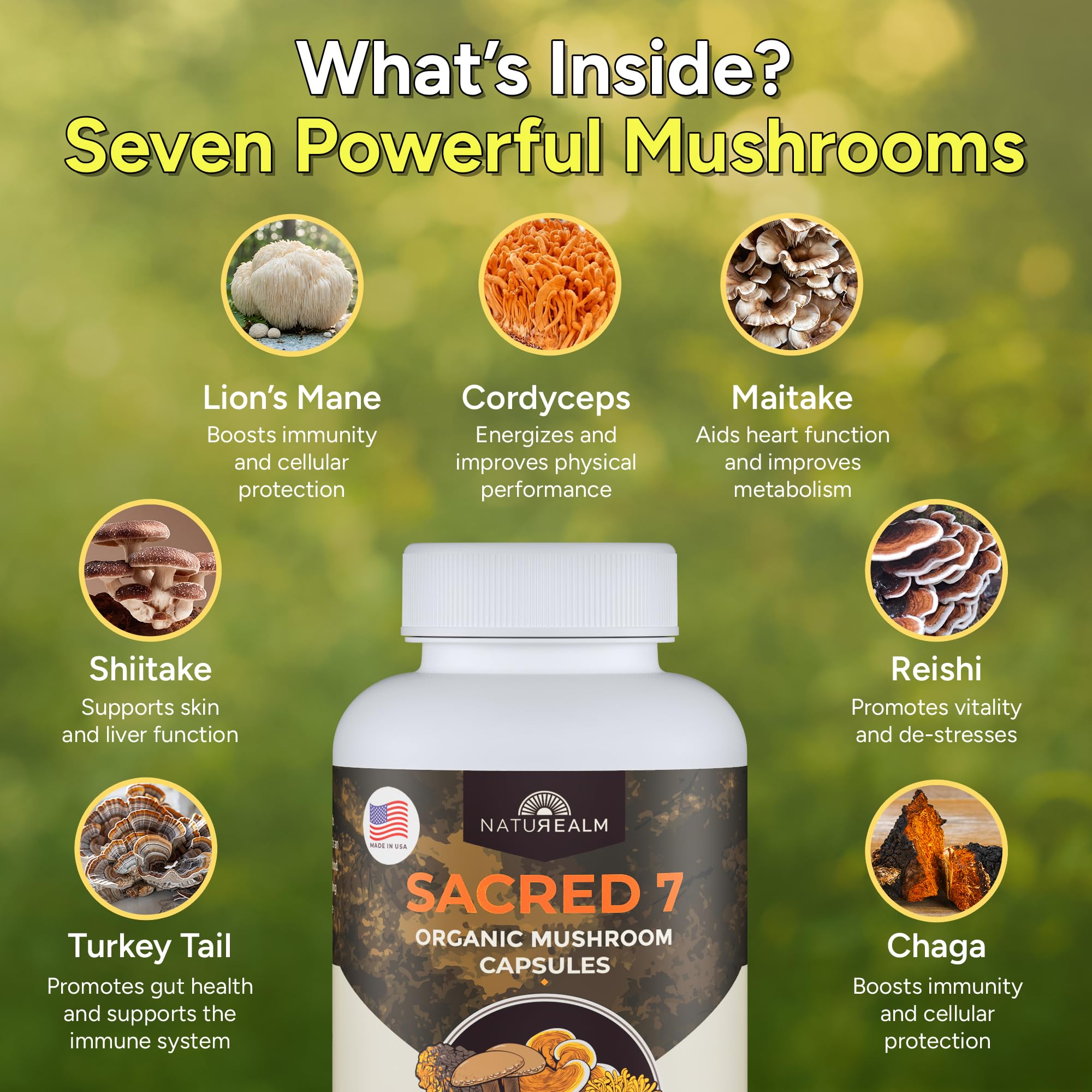 Chaga mushroom antioxidant properties
