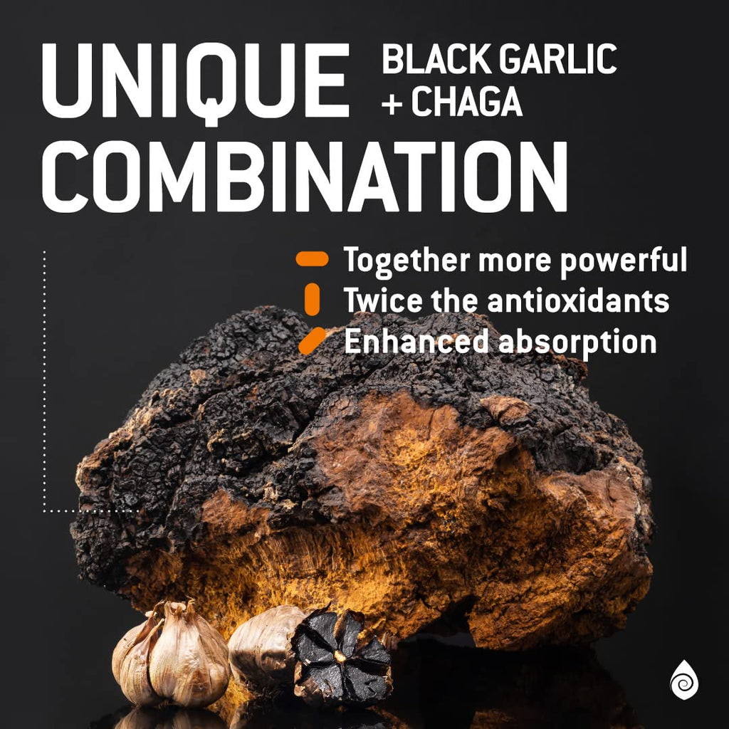 chaga mushroom antioxidant properties