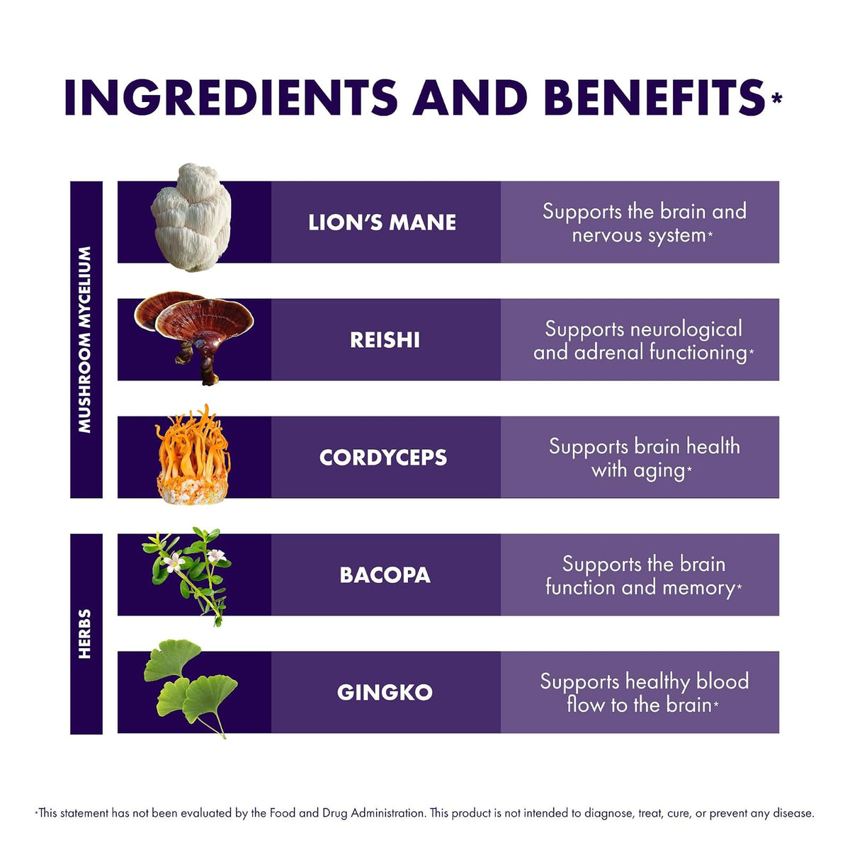 chaga mushroom antioxidant properties