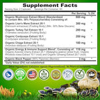Chaga mushroom antioxidant properties