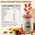 chaga mushroom antioxidant rich gummies