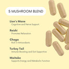 chaga mushroom benefits for immunity