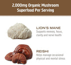 Chaga mushroom benefits for overall wellness