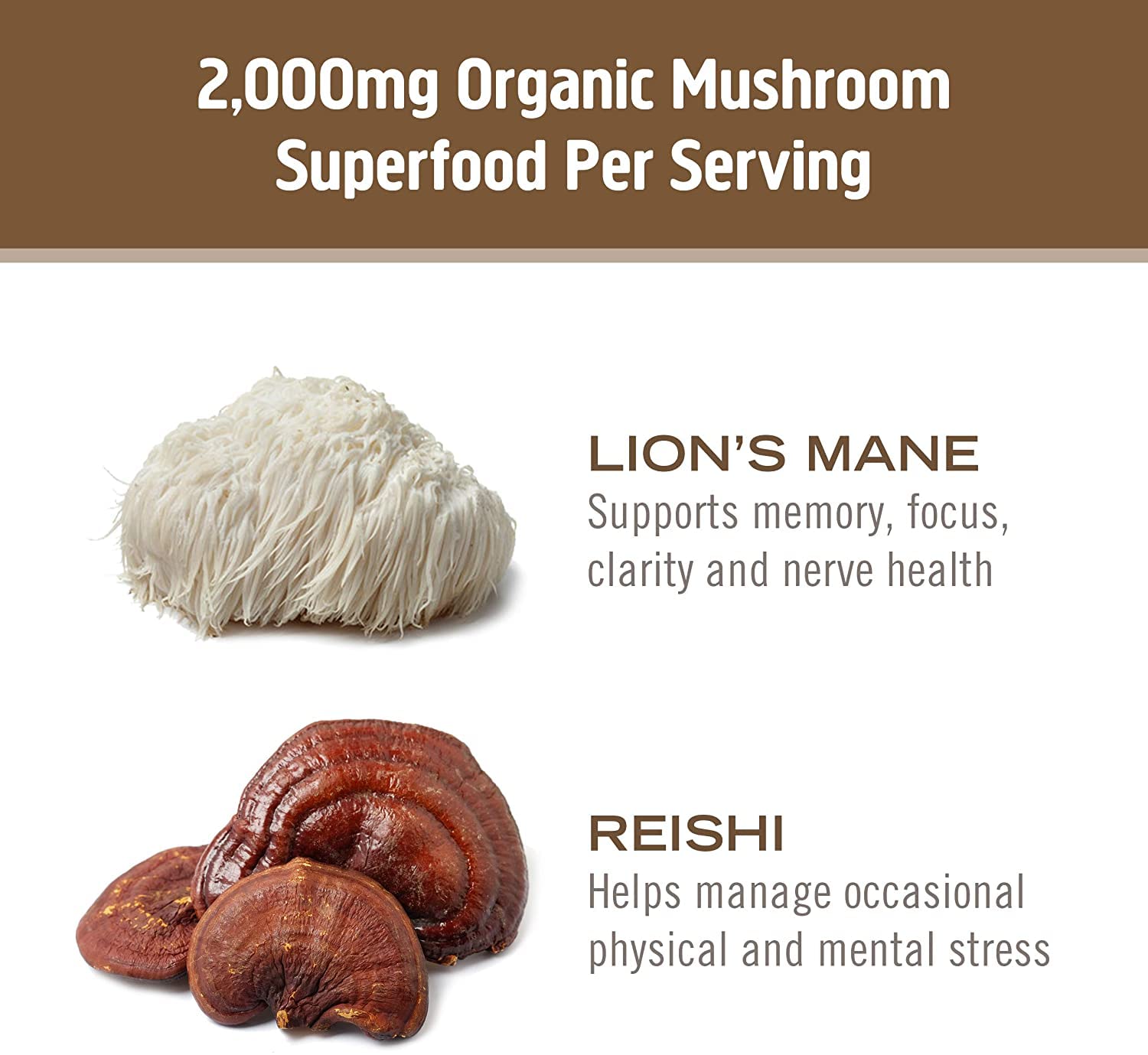 Chaga mushroom benefits for overall wellness