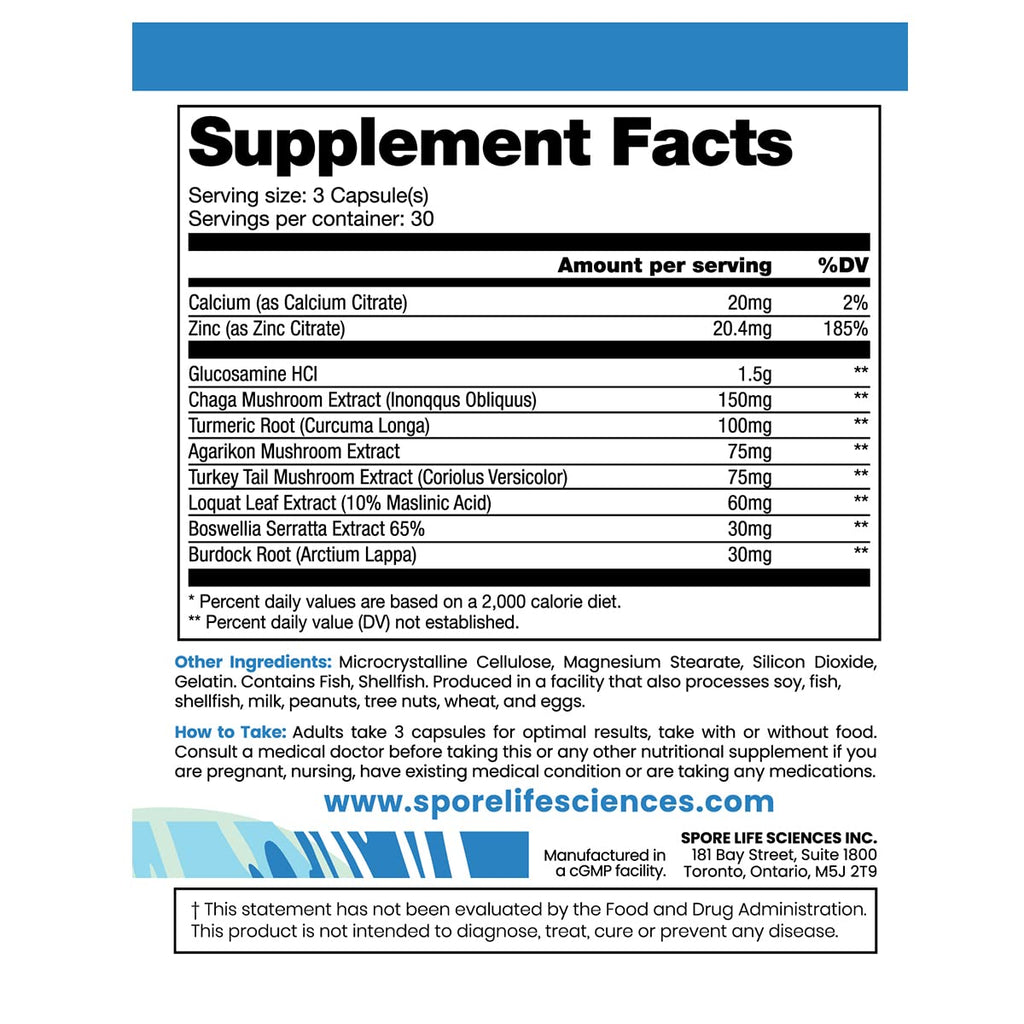 Chaga mushroom benefits for wellness