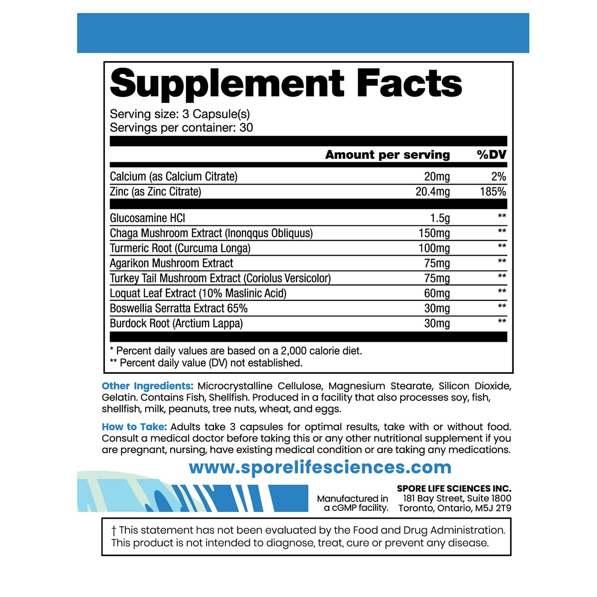 Chaga mushroom benefits for wellness