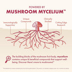 chaga mushroom capsules for beauty