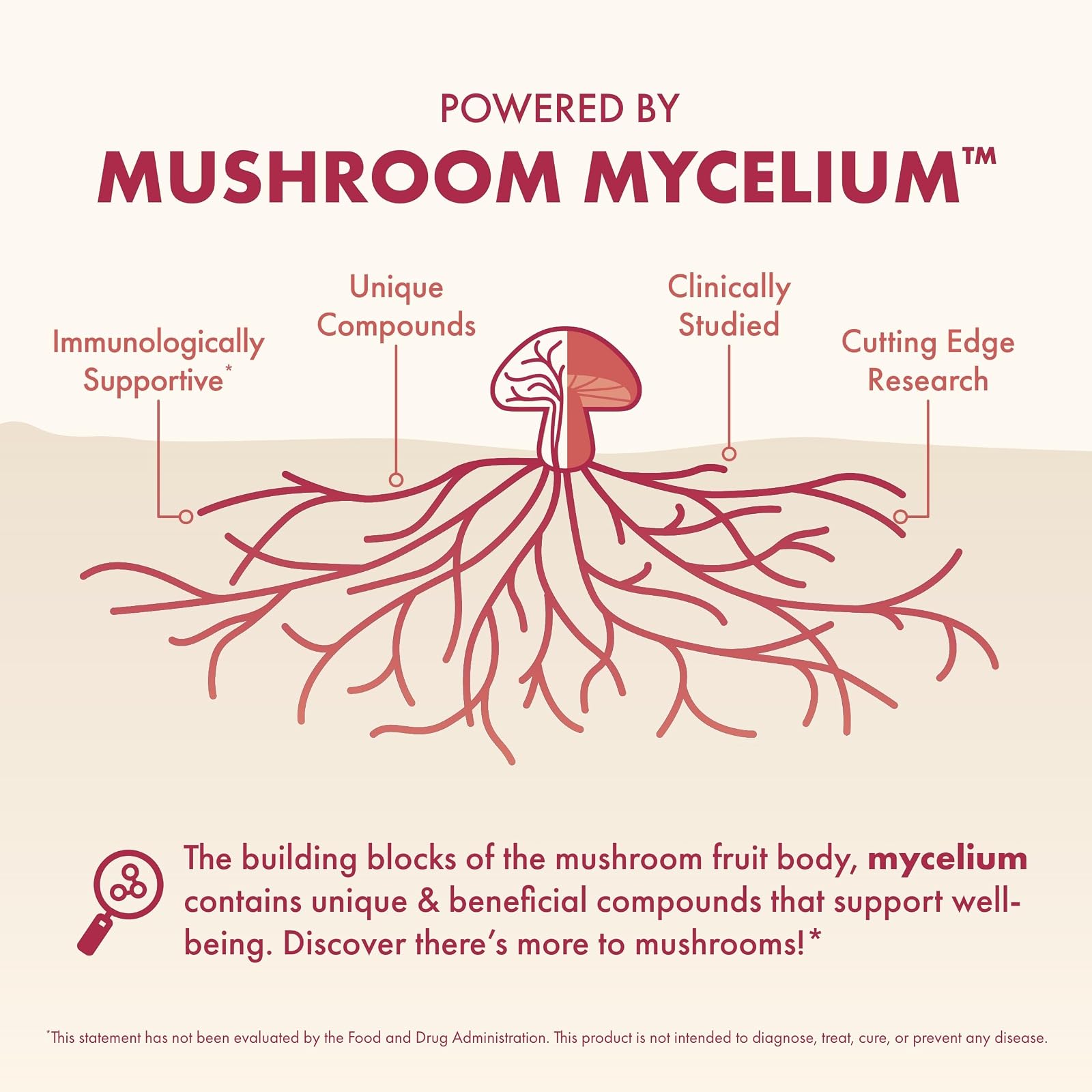 chaga mushroom capsules for beauty