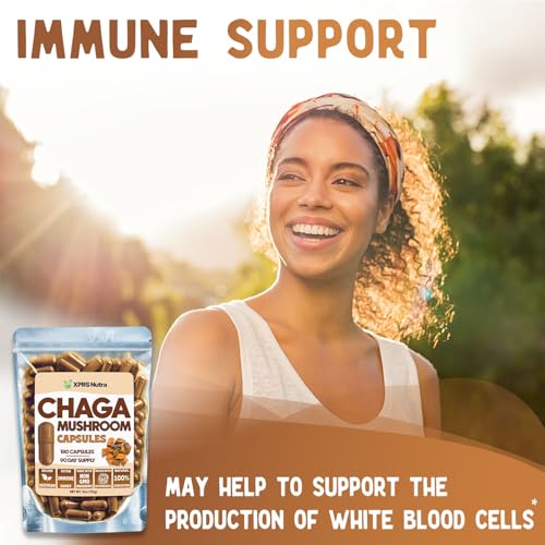Chaga mushroom capsules for daily energy