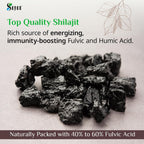 chaga mushroom capsules for energy support