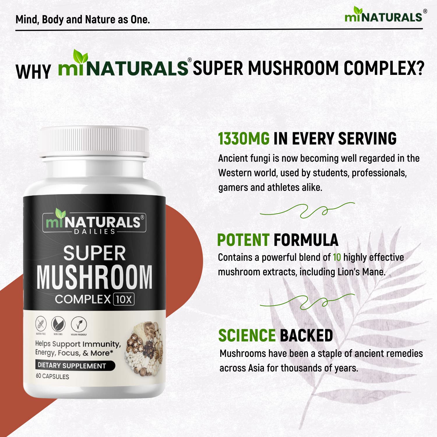 Chaga mushroom capsules for immune support