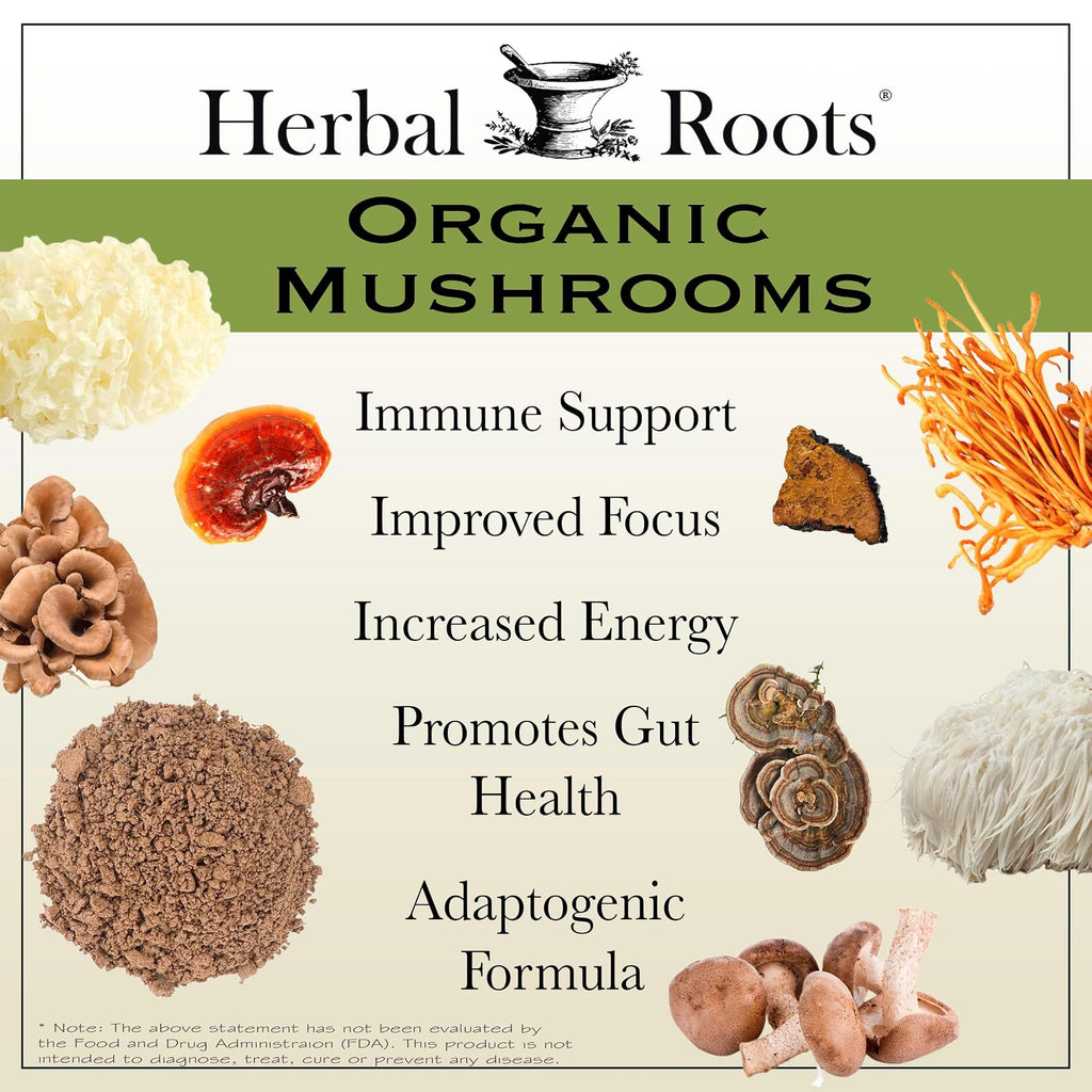 chaga mushroom capsules for immunity