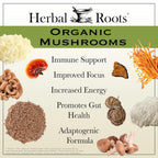 chaga mushroom capsules for immunity