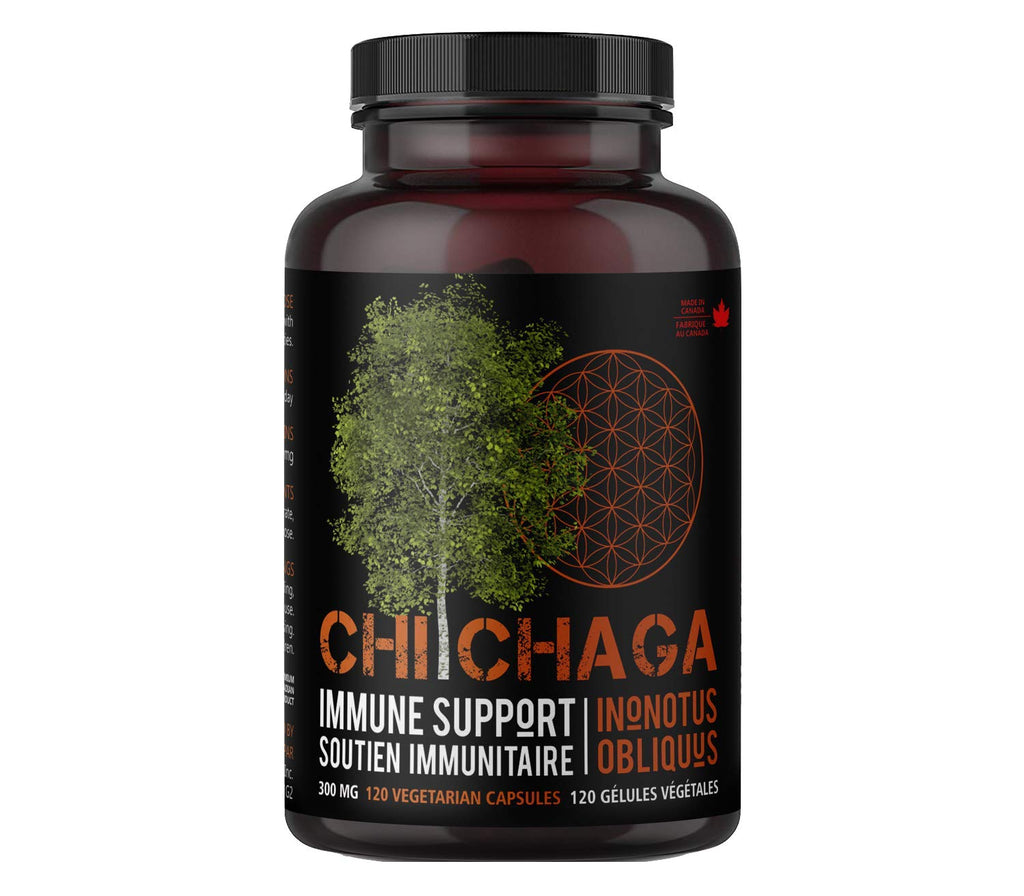 chaga mushroom capsules for wellness
