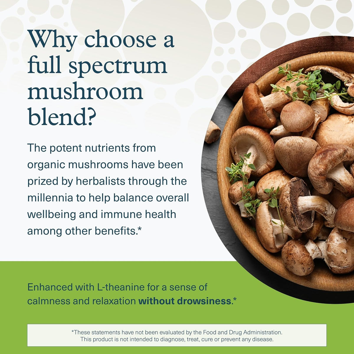 chaga mushroom capsules for wellness