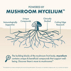 Chaga mushroom capsules for wellness