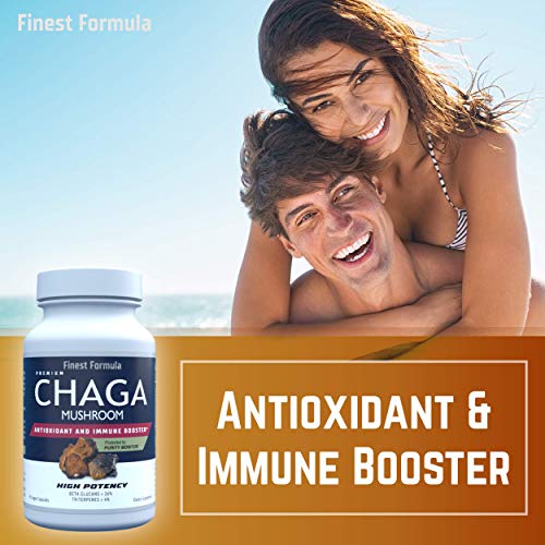 chaga mushroom capsules for wellness