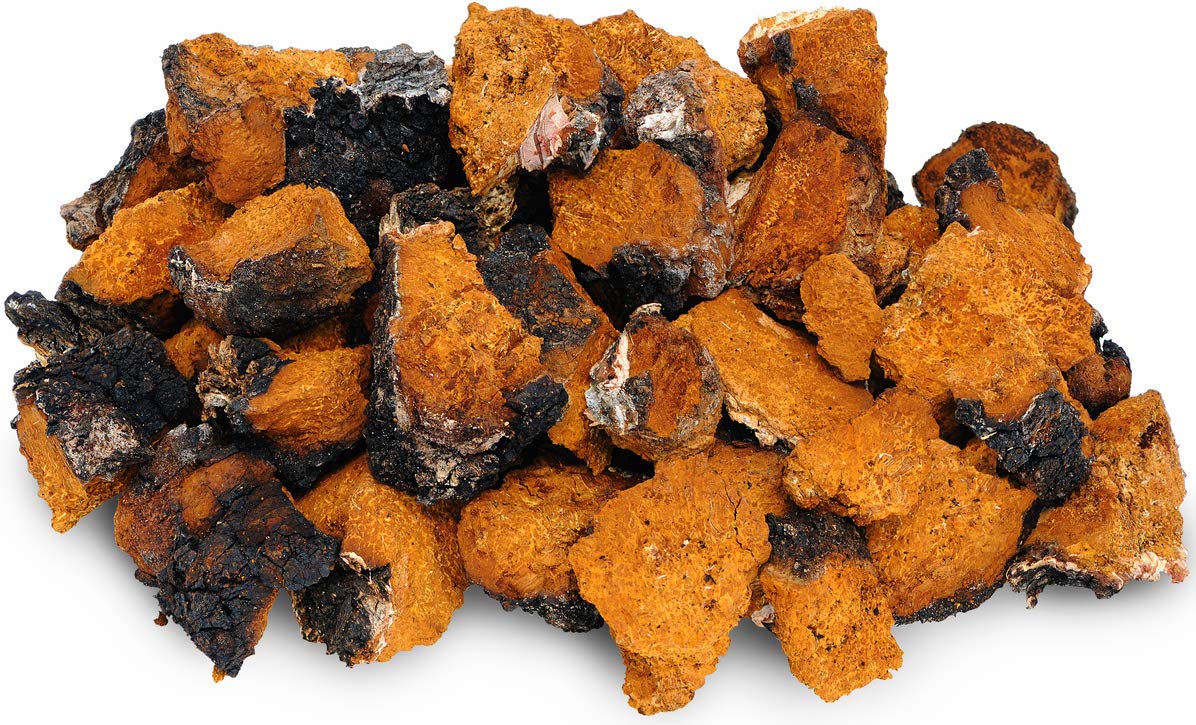 chaga mushroom chunks for immune support
