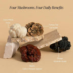 chaga mushroom cocoa mix