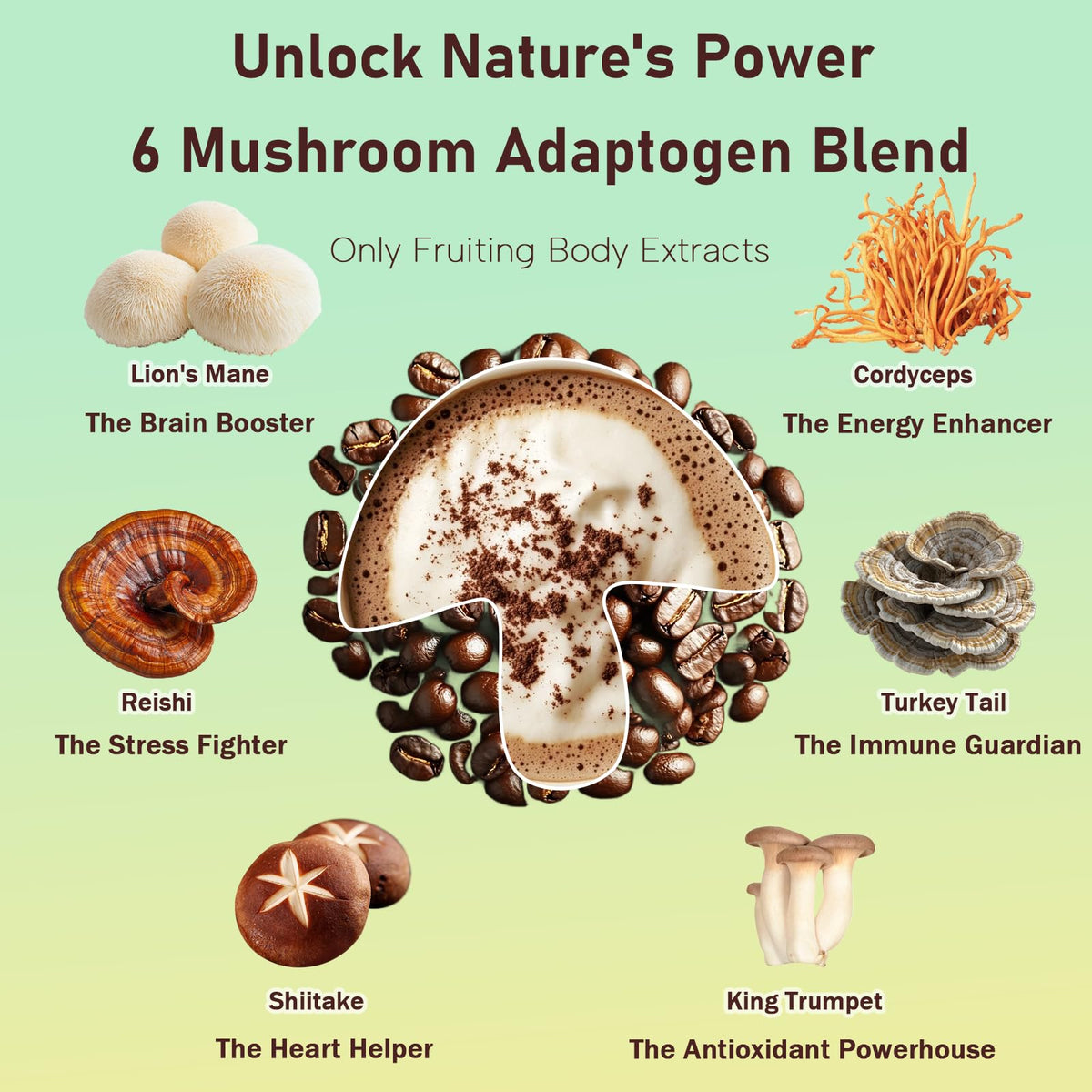 chaga mushroom coffee for energy