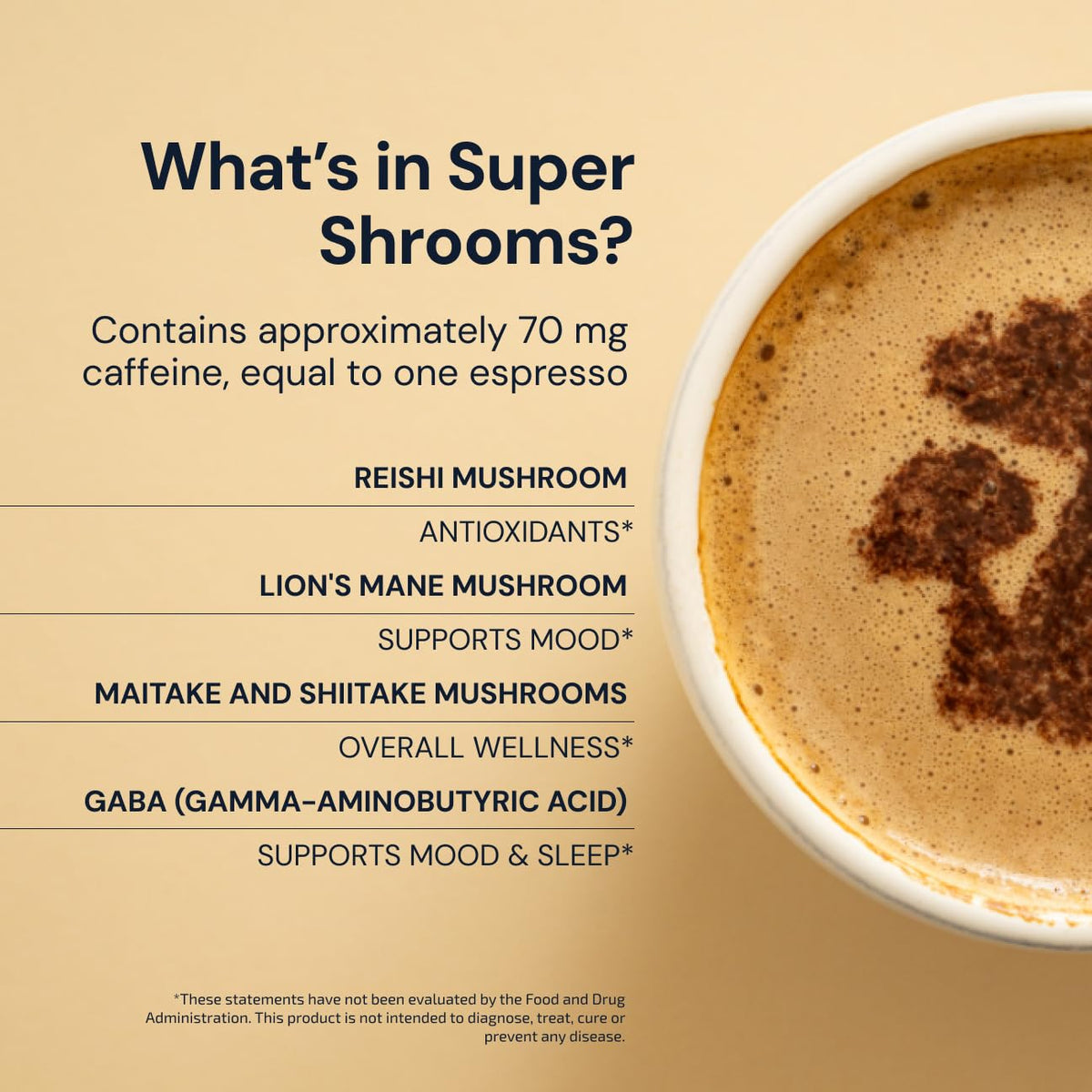 chaga mushroom coffee for energy