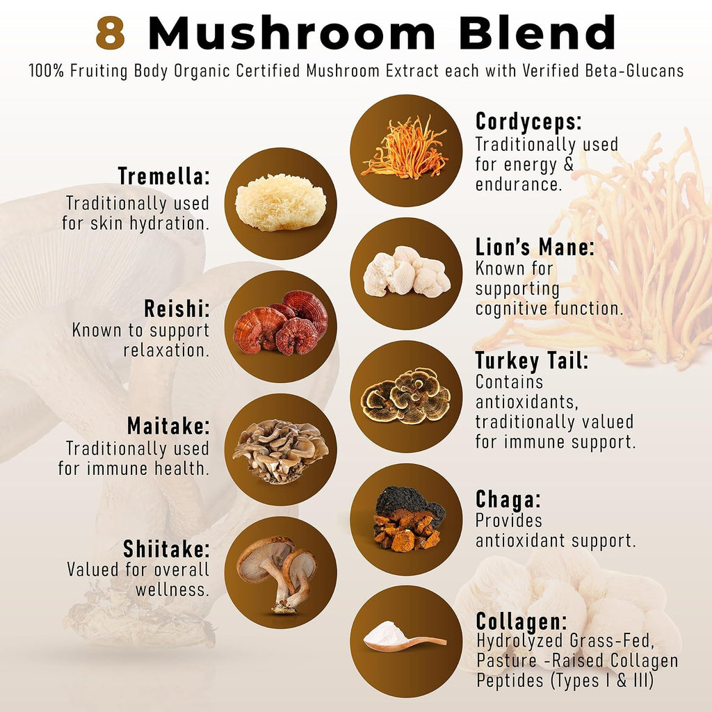 chaga mushroom coffee for energy