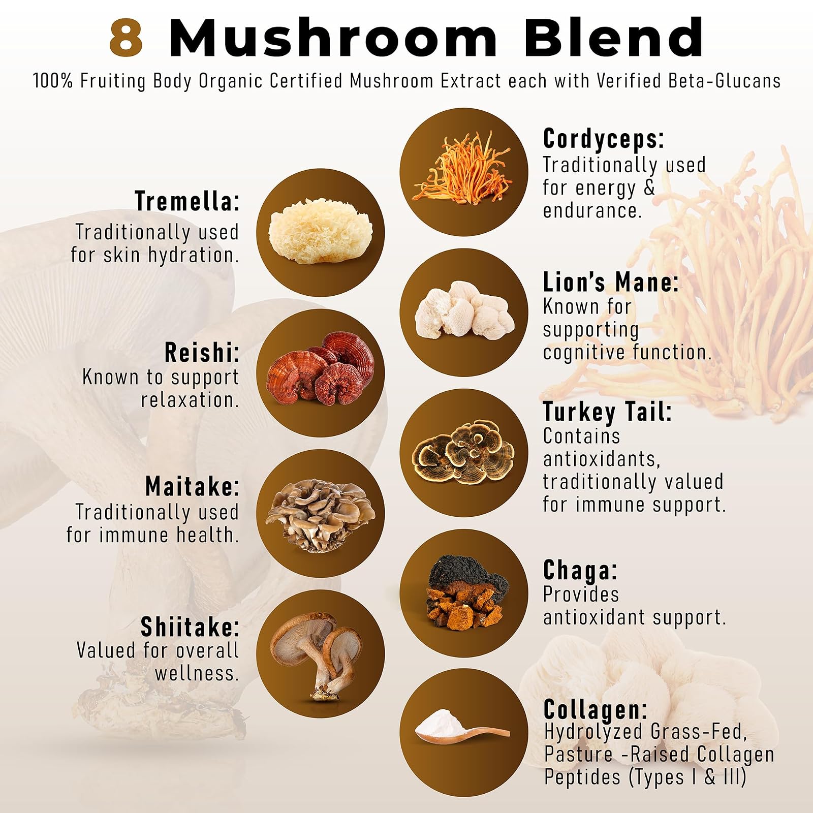 chaga mushroom coffee for energy