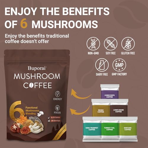 chaga mushroom coffee for wellness