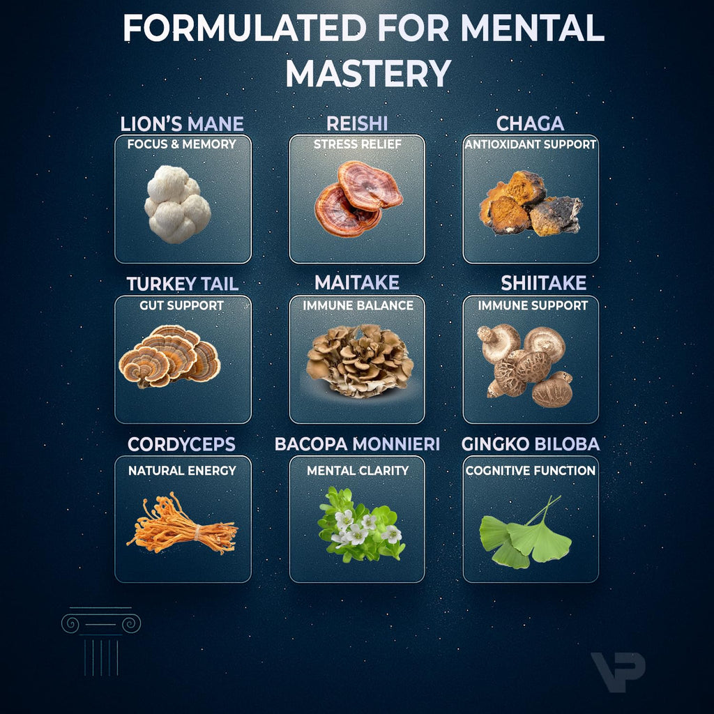 chaga mushroom complex for energy boost