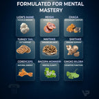 chaga mushroom complex for energy boost