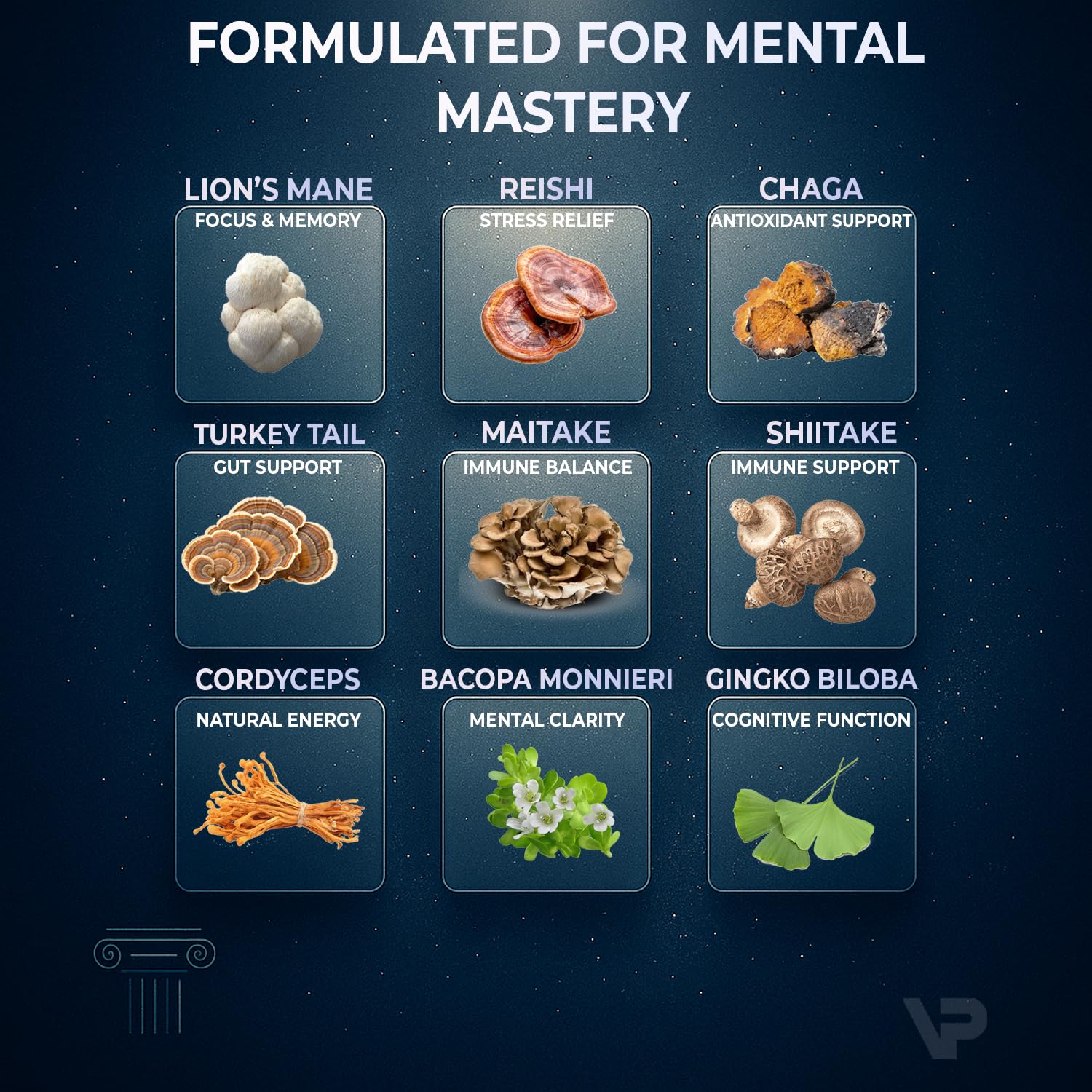 chaga mushroom complex for energy boost