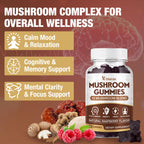 Chaga mushroom complex for energy boost