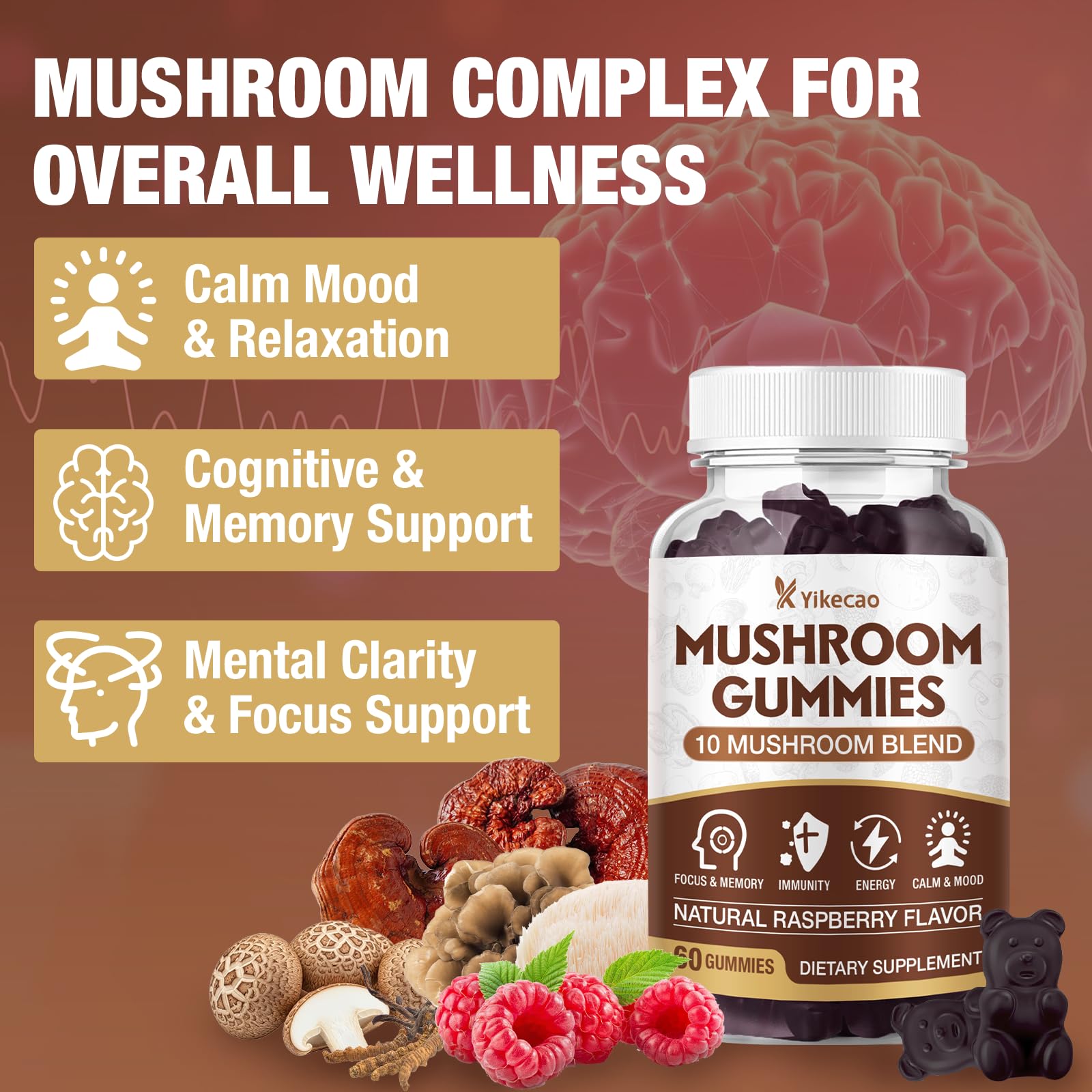 Chaga mushroom complex for energy boost