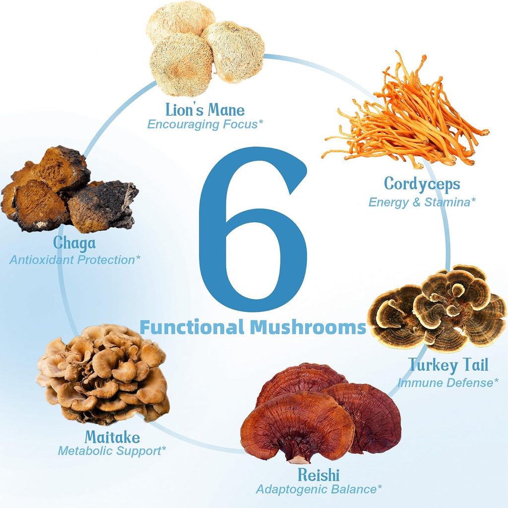 Chaga mushroom creamer for smoothies