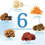Chaga mushroom creamer for smoothies