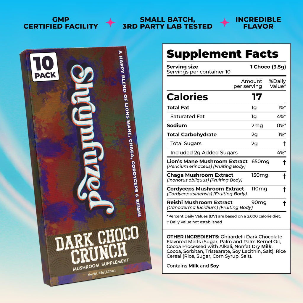 Chaga mushroom dark chocolate treat