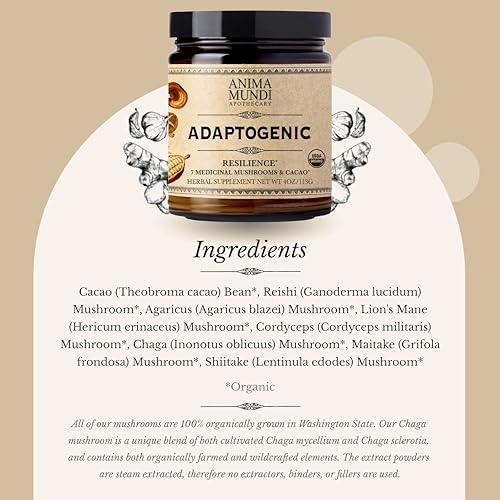 Chaga mushroom drops for health