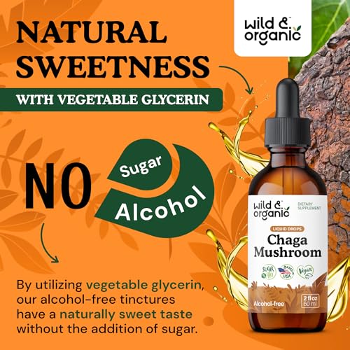 chaga mushroom drops for holistic wellness