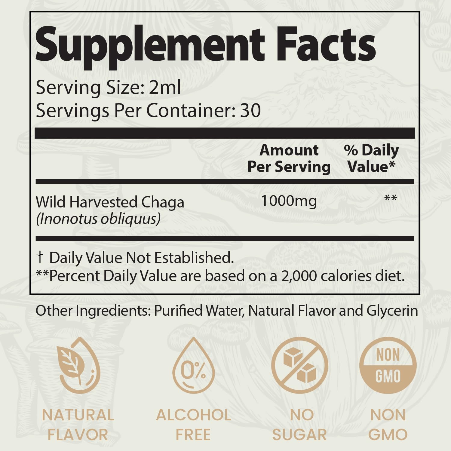 chaga mushroom elixir for vitality
