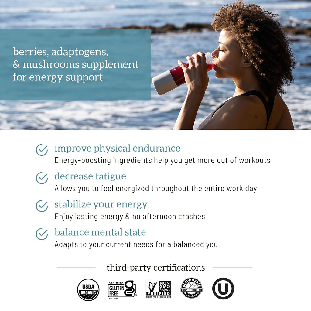 chaga mushroom energy boost powder