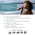 chaga mushroom energy boost powder